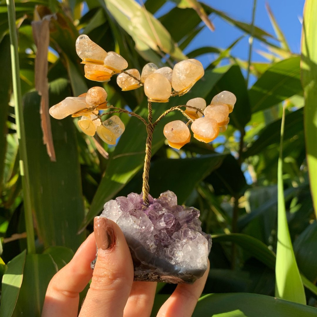 Yellow Crystals | The Guide Crystals